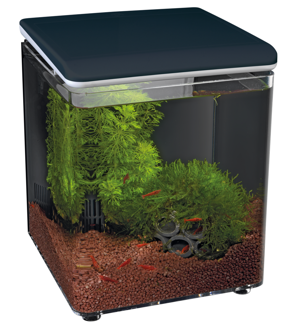 Superfish Home 8 - Complete Acrylic Aquarium 8L – Pro Shrimp