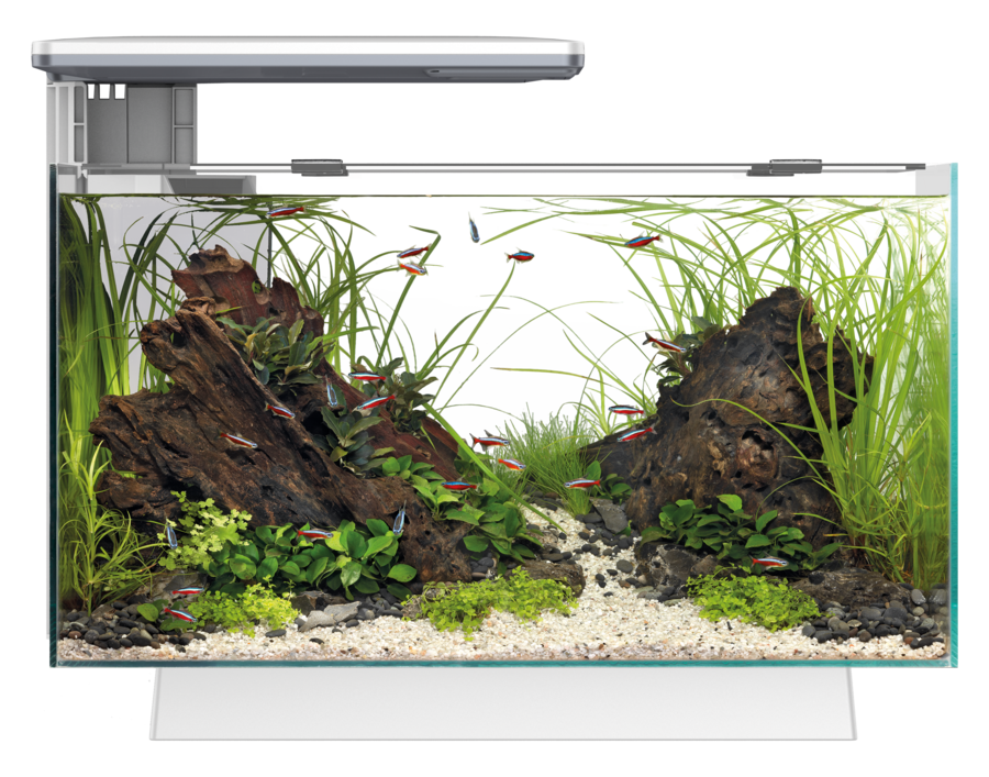 Superfish Quadro 40 Pro Complete Aquarium Kit Fish Tank Set White LED ...