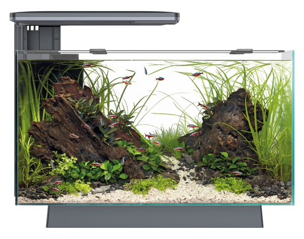 Superfish Quadro 40 Pro Complete Aquarium Kit Fish Tank Set White LED ...