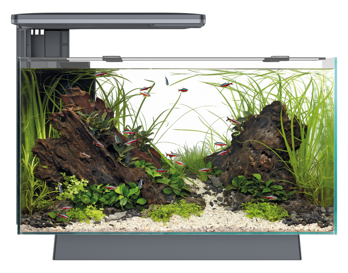 Superfish Quadro 40 Pro Complete Aquarium Kit Fish Tank Set White LED ...