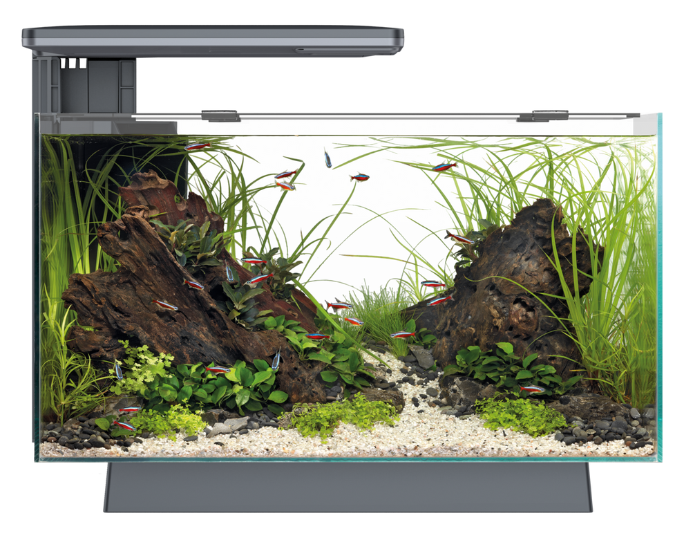 Superfish Quadro 40 Pro Complete Aquarium Kit Fish Tank Set White LED ...