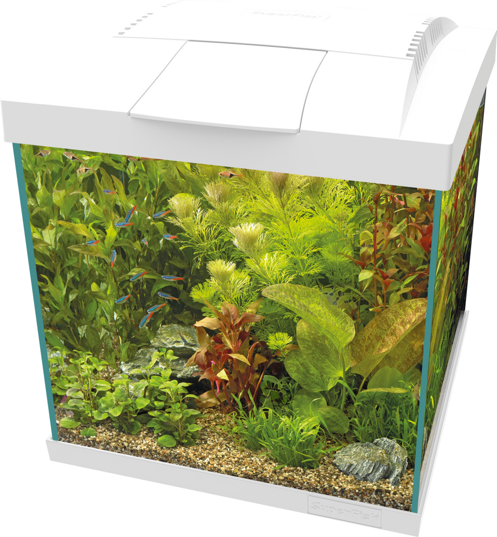 Superfish Start 30 Qube Kit Complete Aquarium Set Fish Tank – Pro Shrimp