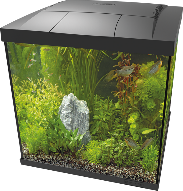 Superfish Start 60 Qube Kit Complete Aquarium Set Fish Tank – Pro Shrimp