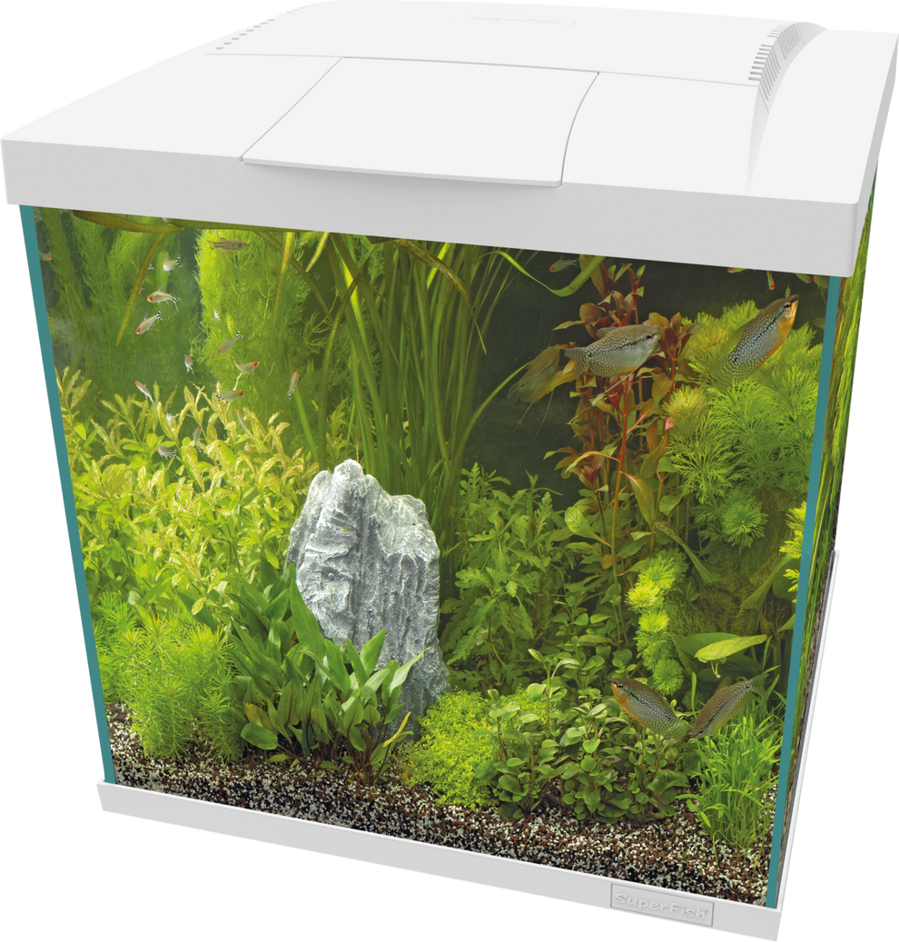 Superfish Start 60 Qube Kit Complete Aquarium Set Fish Tank – Pro Shrimp